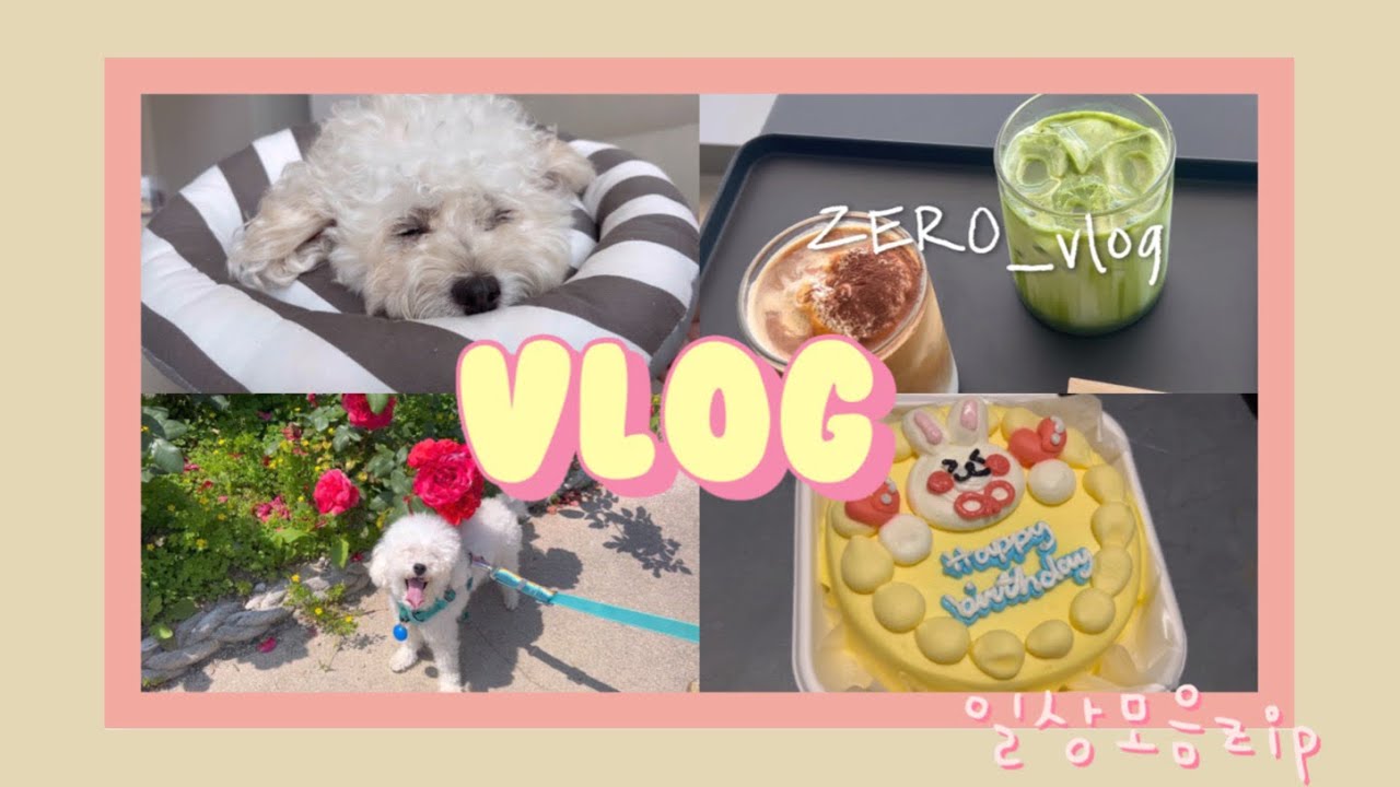Vlog카페 준비하면서 시간 쪼개며 일상 즐기기홈베이킹푸들브이로그일상브이로그생일선물언박싱푸들셀프미용 Youtube