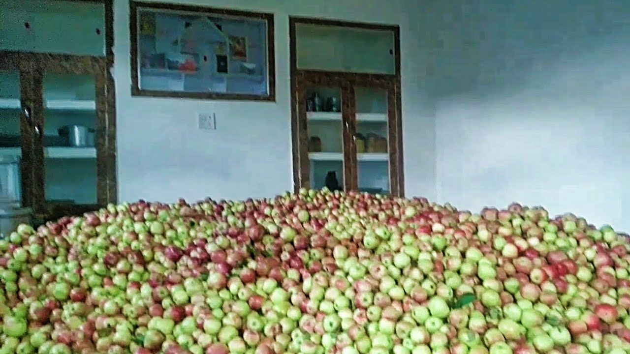 #Chamba #Apples...................#All #procedure of #Apples from # ...