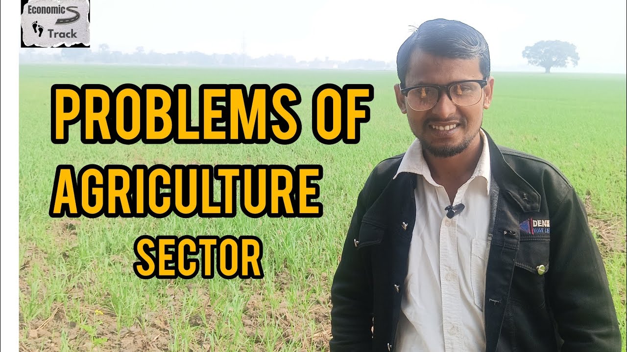 problems of agriculture sector #indianeconomy #class12 #economics # ...