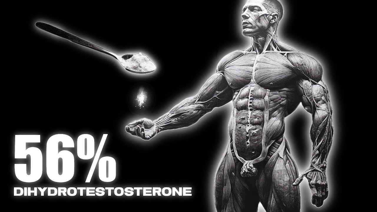 Creatine increases DHT by 56%. It is anabolism. - YouTube