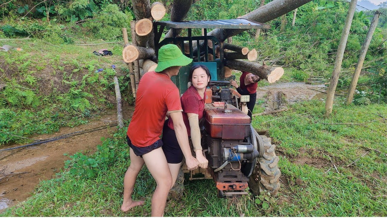 Two Young Girls Logging and Transporting Timber by Agricultural Vehicle ...