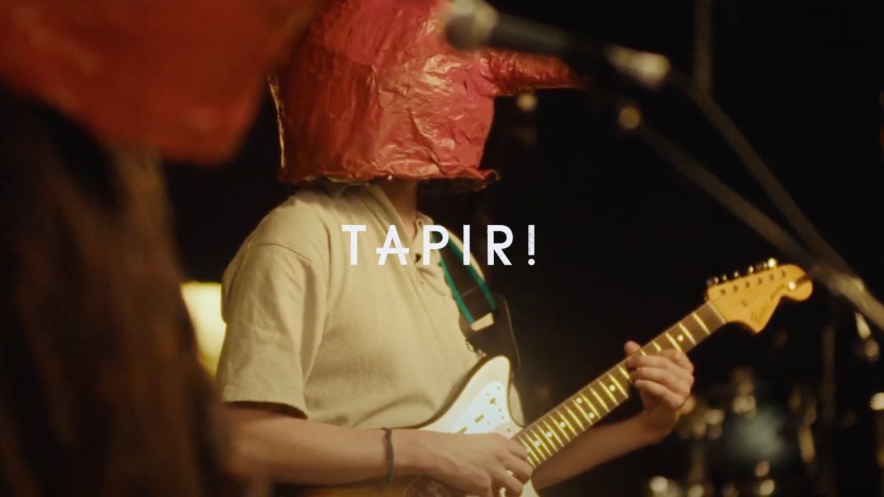 Green Man Rising 2022 | TAPIR! - YouTube