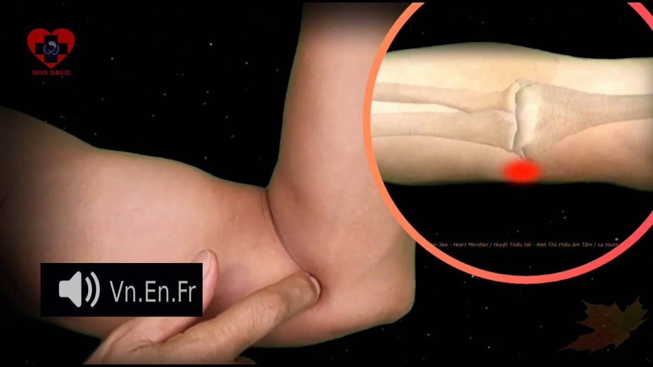 HT3 | Huyệt Thiếu hải | Kinh Thủ thiếu âm Tâm | Acupoint VIKUDO - YouTube