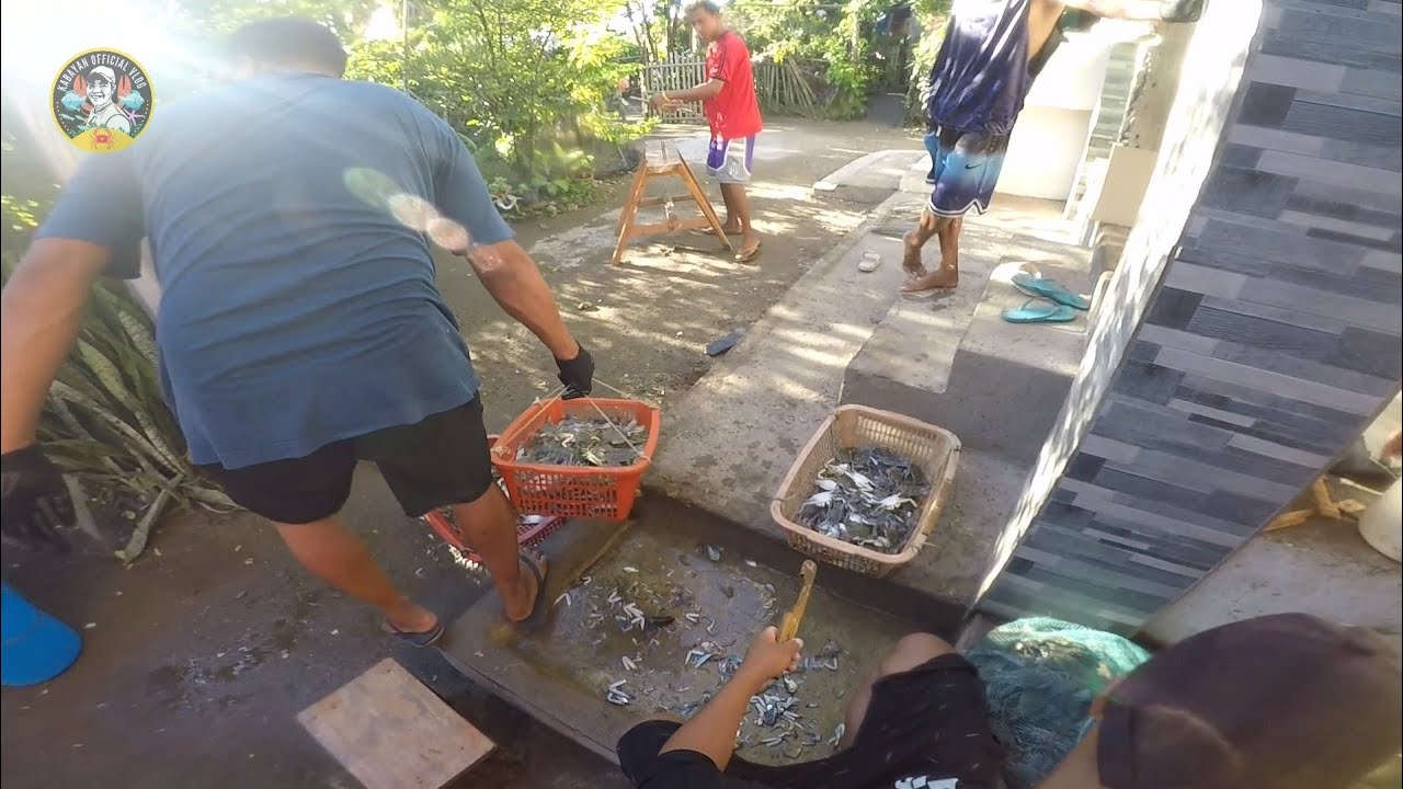 SILA ANG NAKA JACKPOT | BUBO TRAP SA ALIMASAG | SORSOGON BAY - YouTube