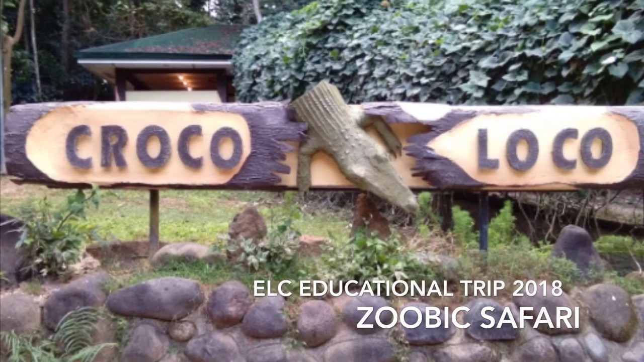 Croco Loco (Zoobic Safari) - YouTube