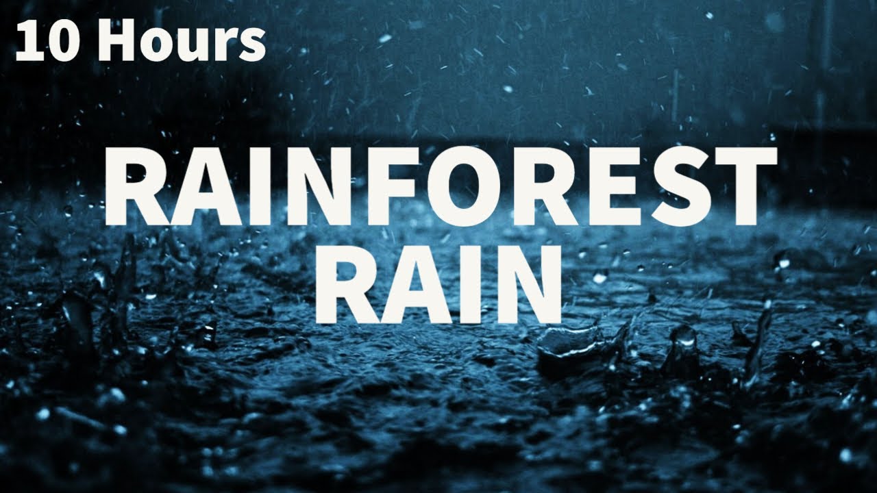 10 Hours of Intense Study in a beautifully set Rainforest | Rainforest ...