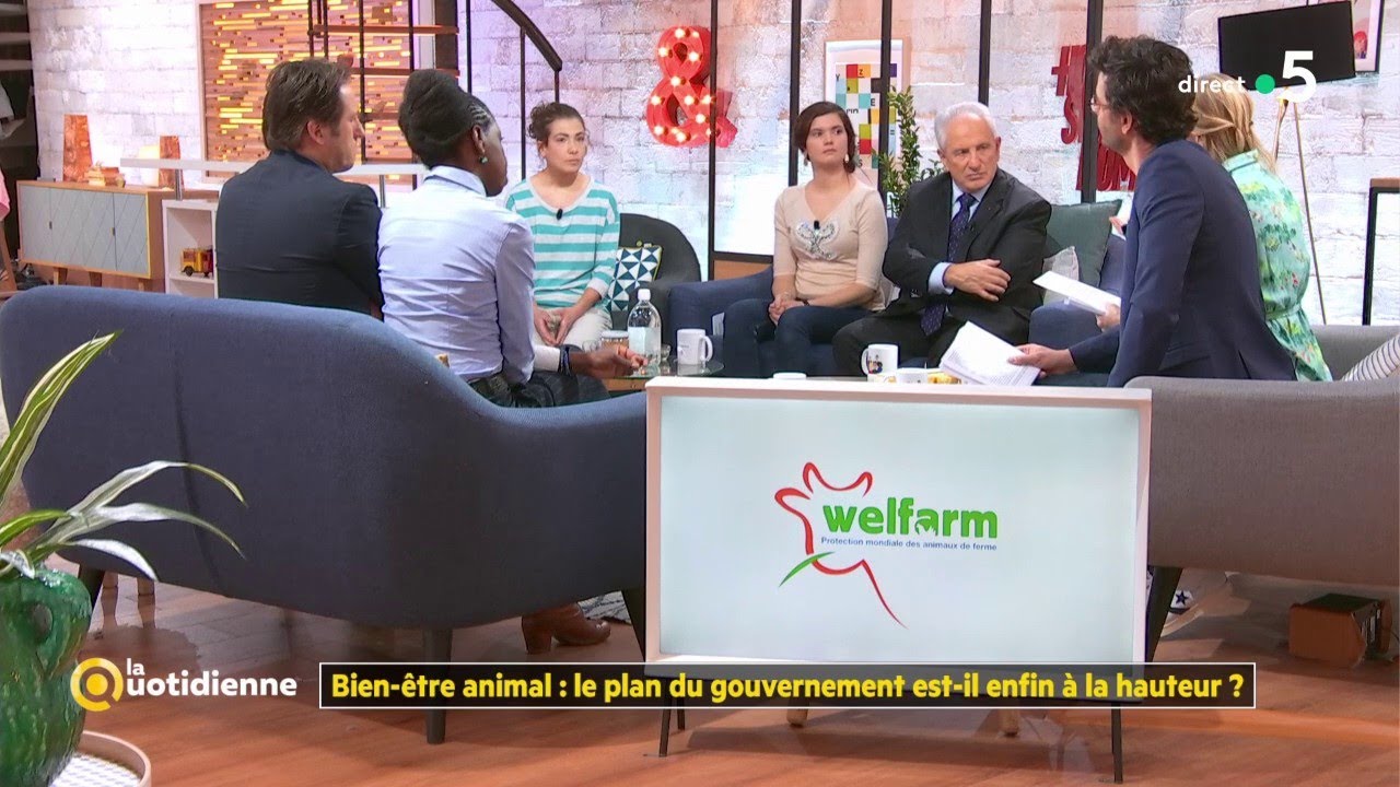 Bien-être animal : le plan du gouvernement est-il enfin à la hauteur ...