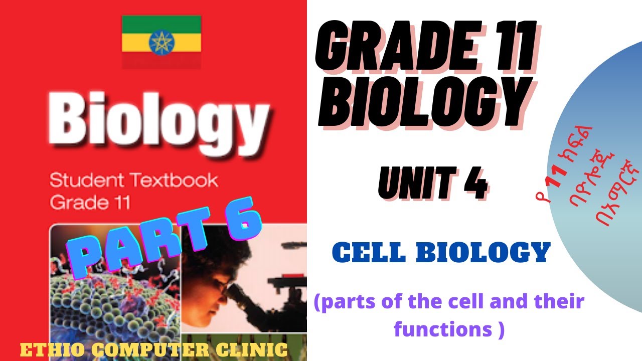 Ethiopia Grade 11 Biology Unit 4 Part 6 Cell Biology 11 ethiopia-grade-11-biology-unit-4-part-6-cell-biology-11
