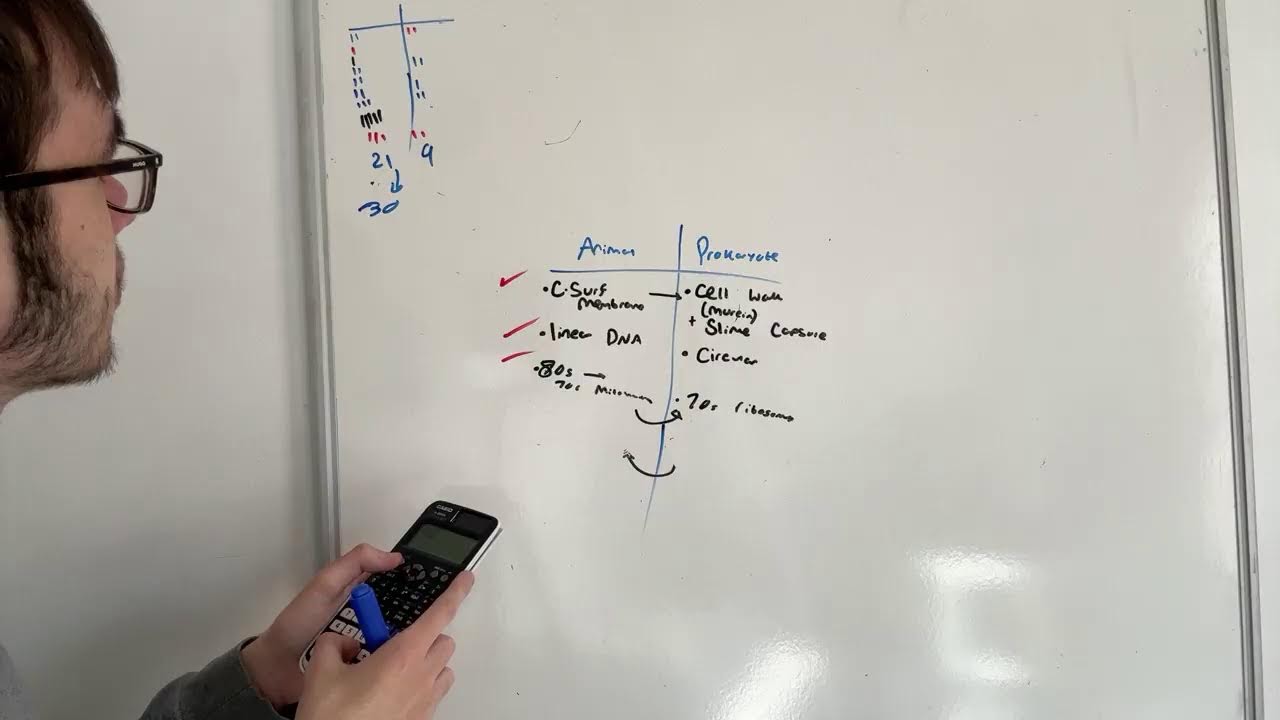 Ok revision - YouTube