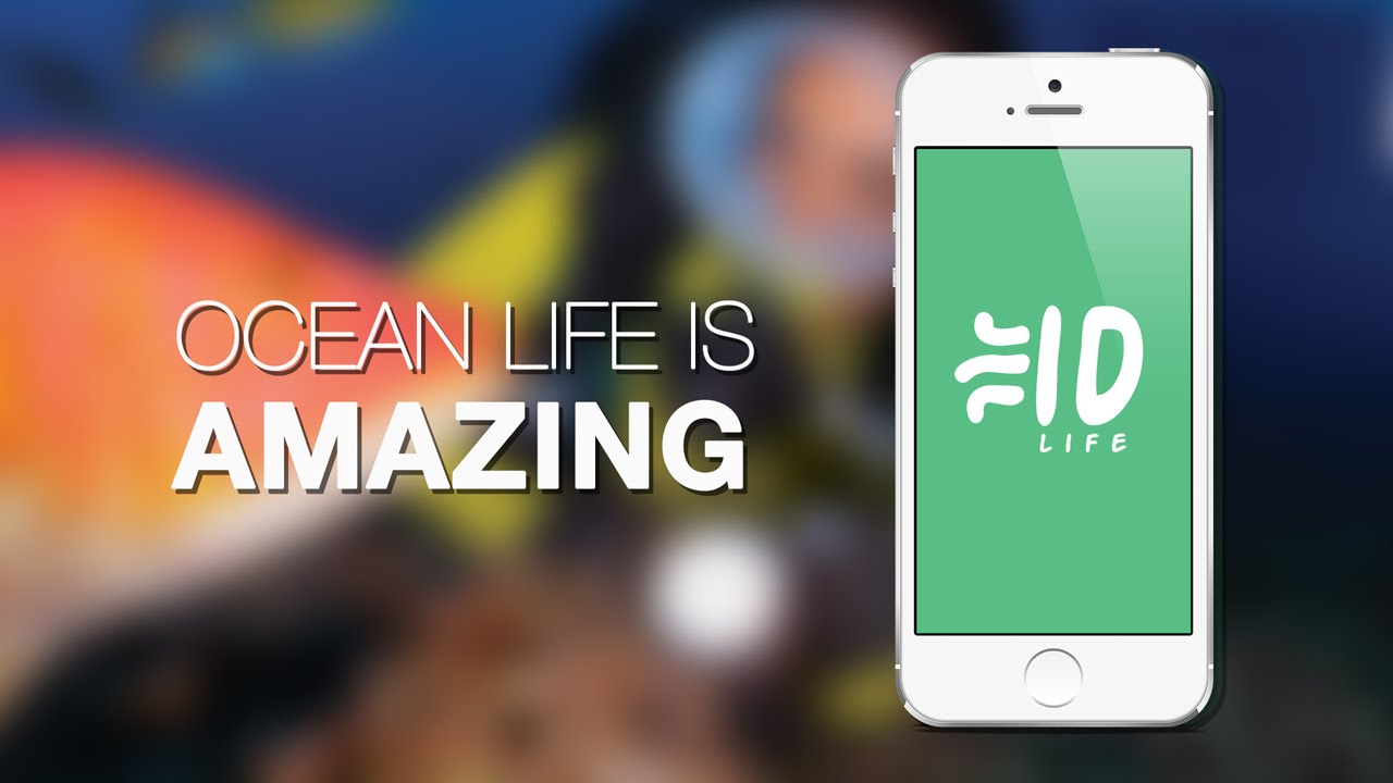 Ocean Life ID (iPhone & Android App) - YouTube