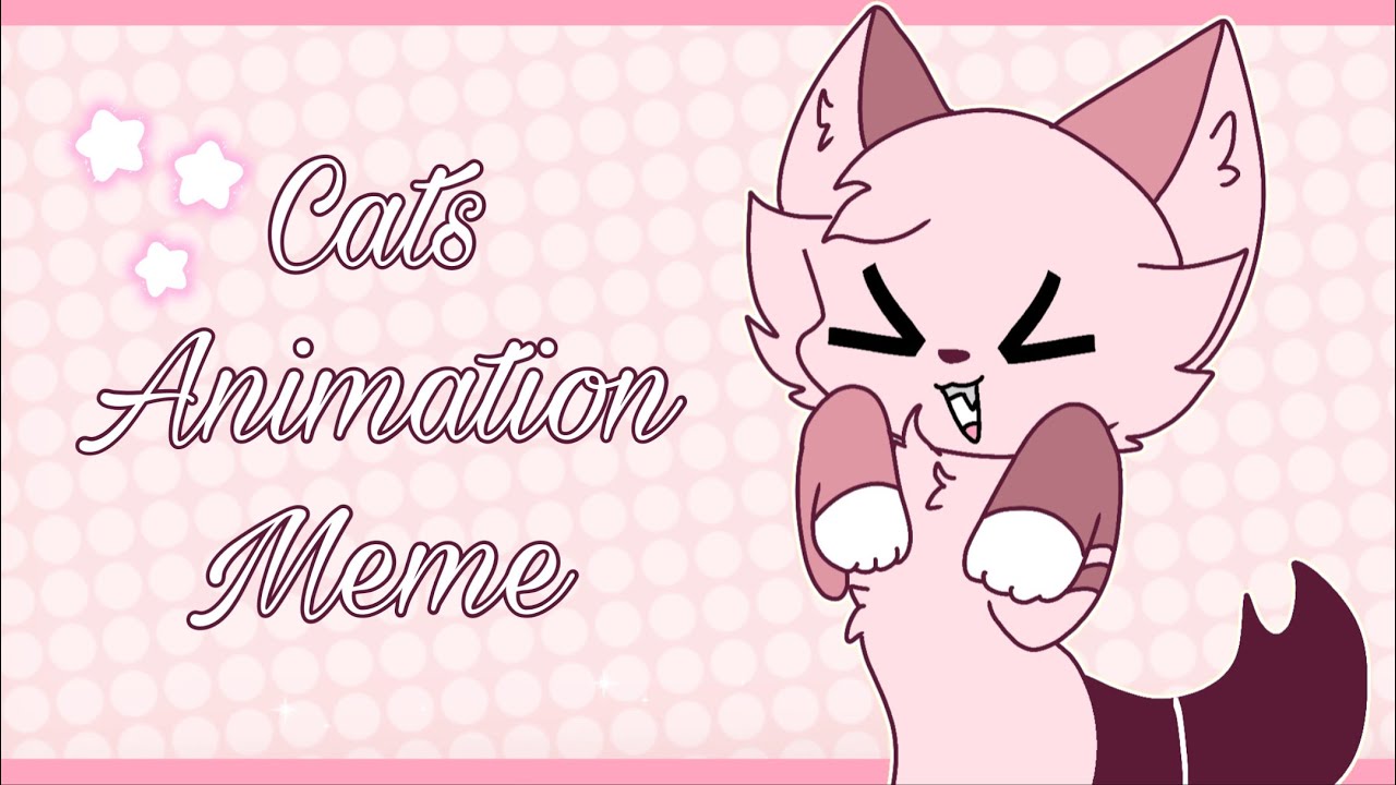 cats 🐈 ~ animation meme ~ flipaclip - YouTube