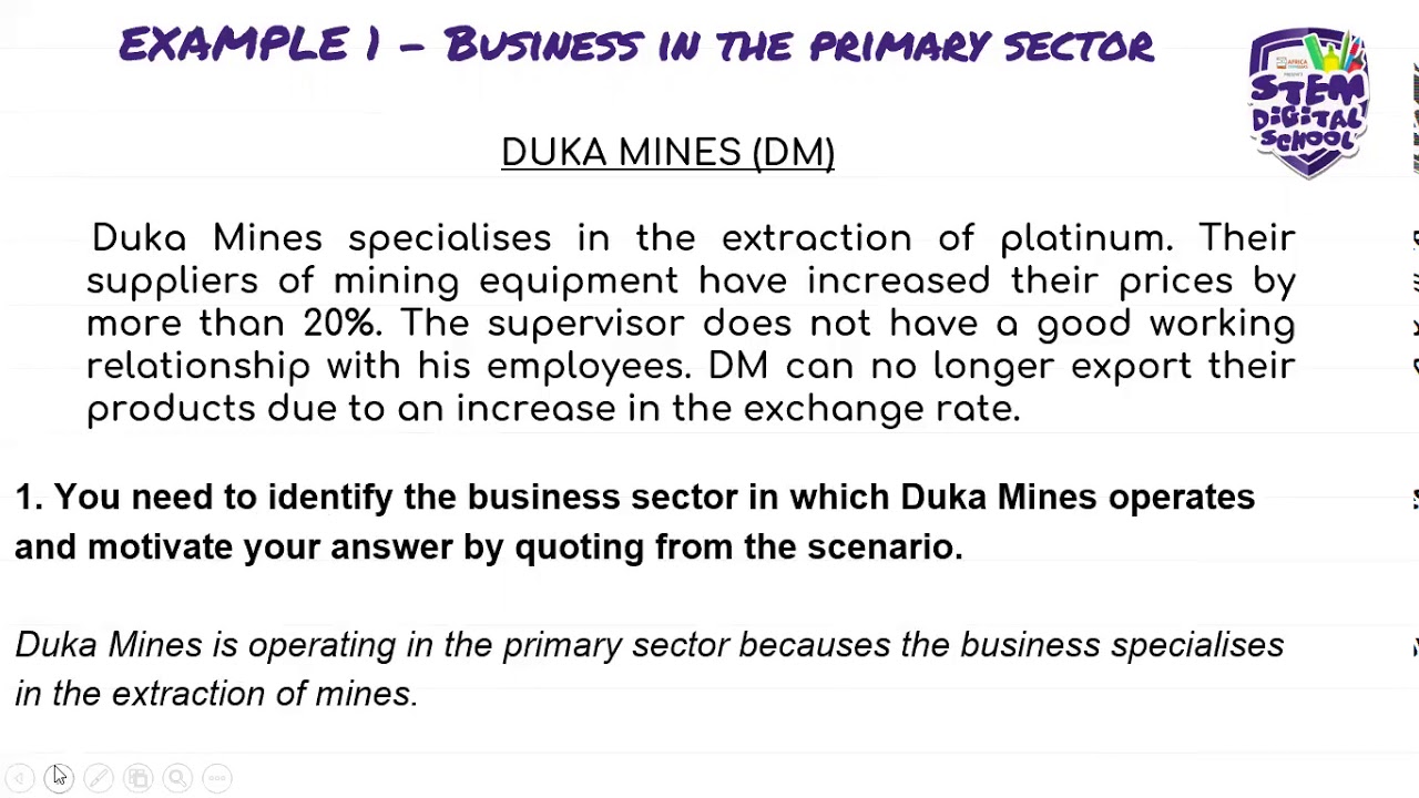 Grade 12 - Business Studies | Business Sectors and Their Environments ...