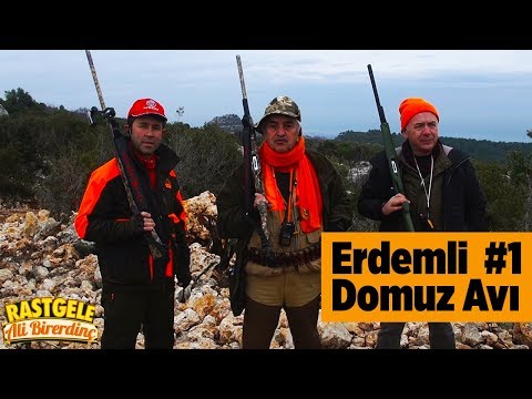 Erdemli Domuz Avı 1. Bölüm  Rastgele Ali Birerdinç  Wild boar Hunting Yaban Tv Av Videoları