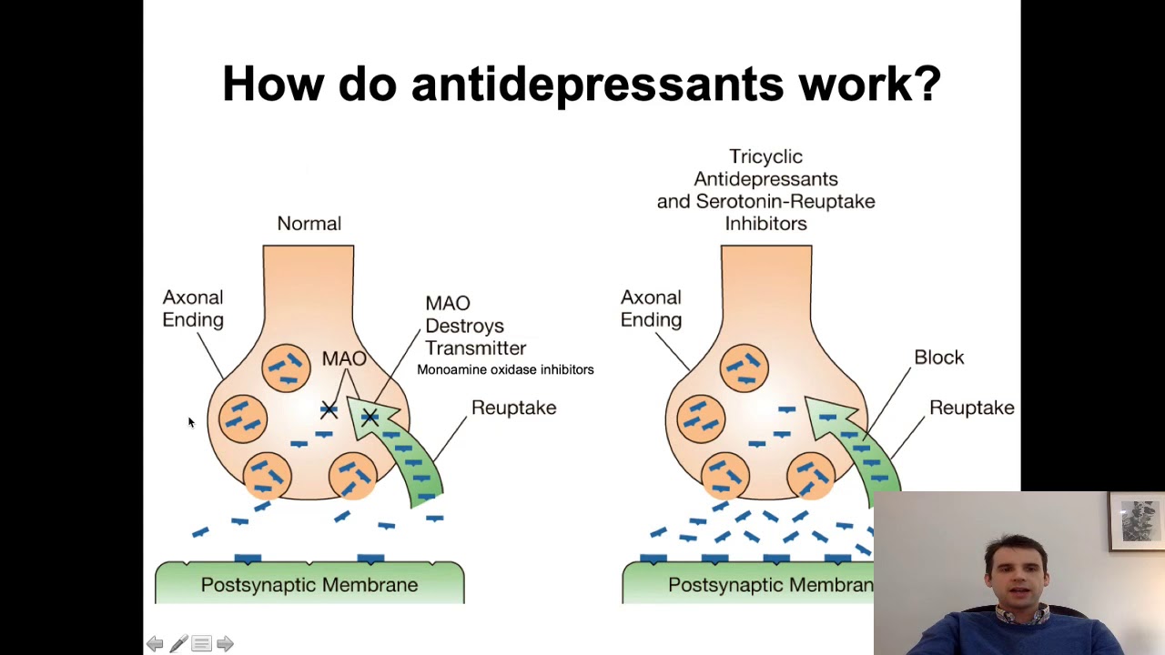 The Biology of Depression - Psychology Clinic Melbourne - YouTube