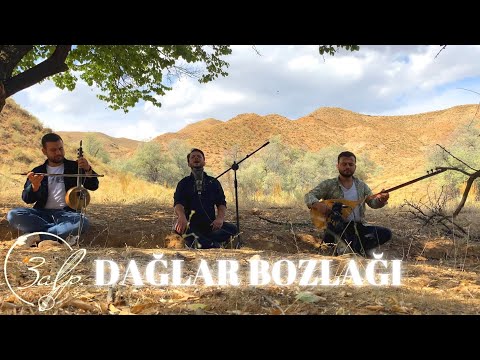 ALPLER - DAĞLAR BOZLAĞI
