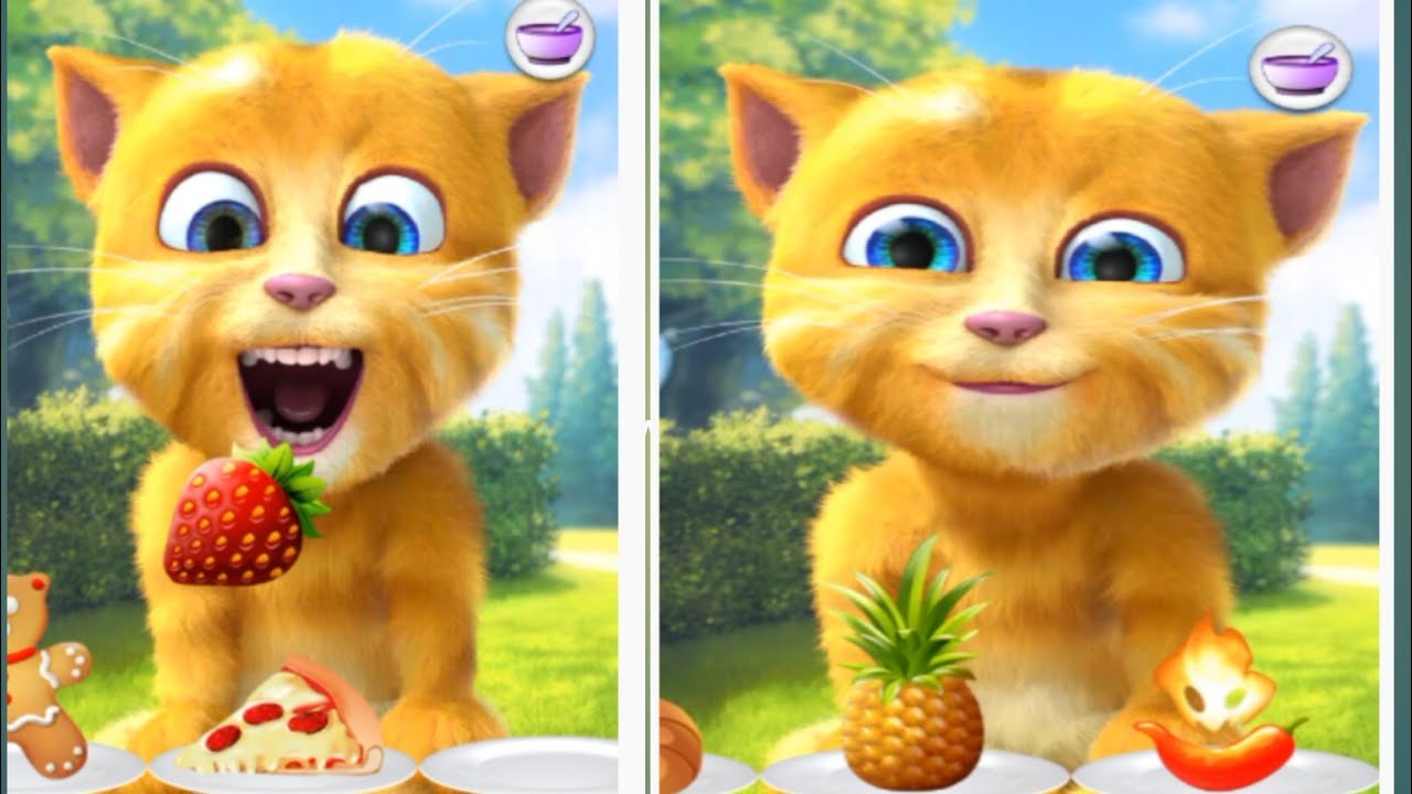 Talking Ginger's Comedy Show – Laugh Till You Drop! - YouTube