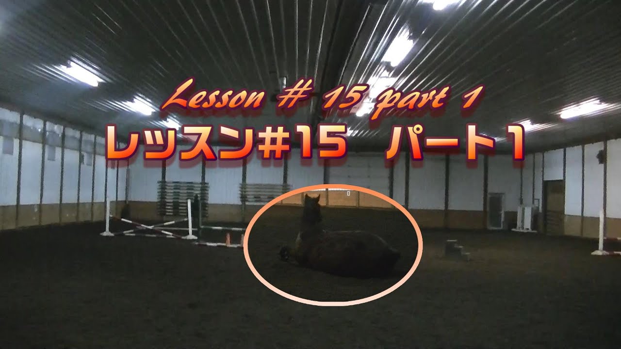 Lesson 15 part 2/レッスン15パート2 - YouTube