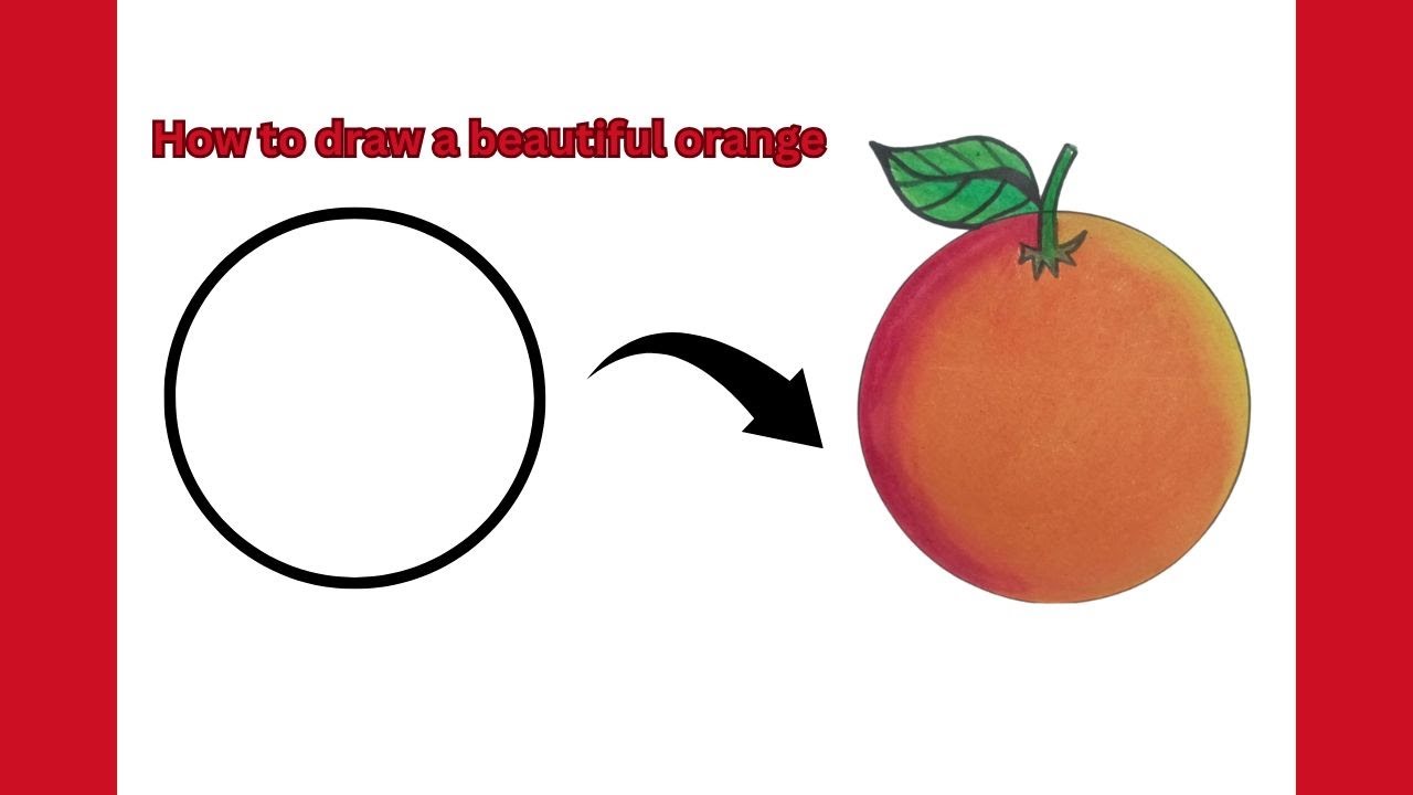How to draw a beautiful orange || step by step orange drawing || Orange ...