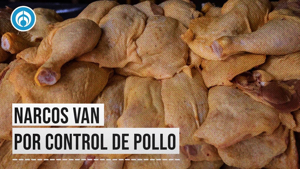 Narcotraficantes pasan de la droga al control de pollo en Guerrero ...