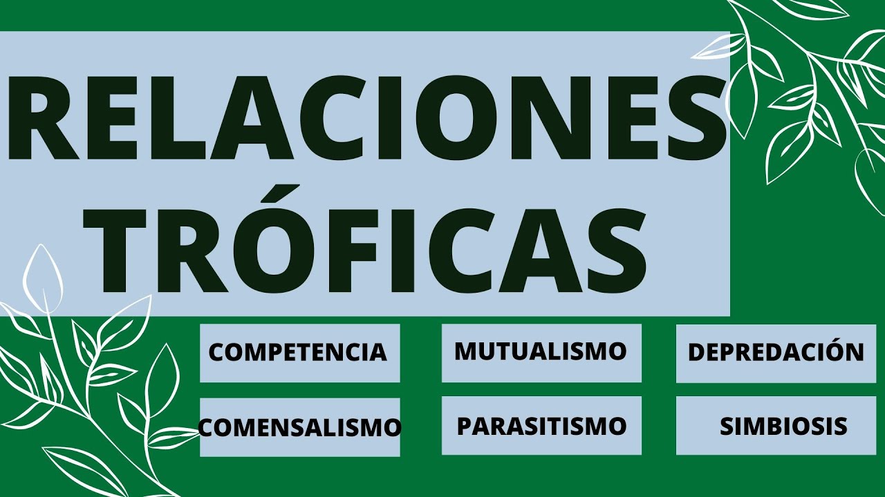 RELACIONES TROFICAS / COMPETENCIA, MUTUALISMO, DEPREDACIÓN COMENSALISMO ...