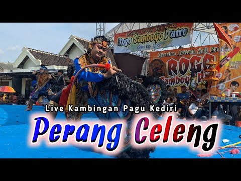 PERANG CELENG TERBARU - ROGO SAMBOYO PUTRO | KAMBINGAN PAGU KEDIRI - YouTube