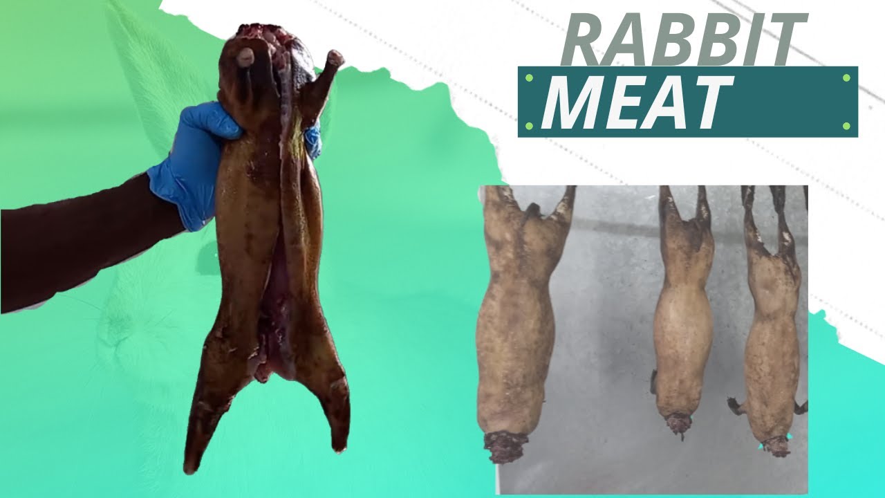 Preparing rabbit for market - YouTube