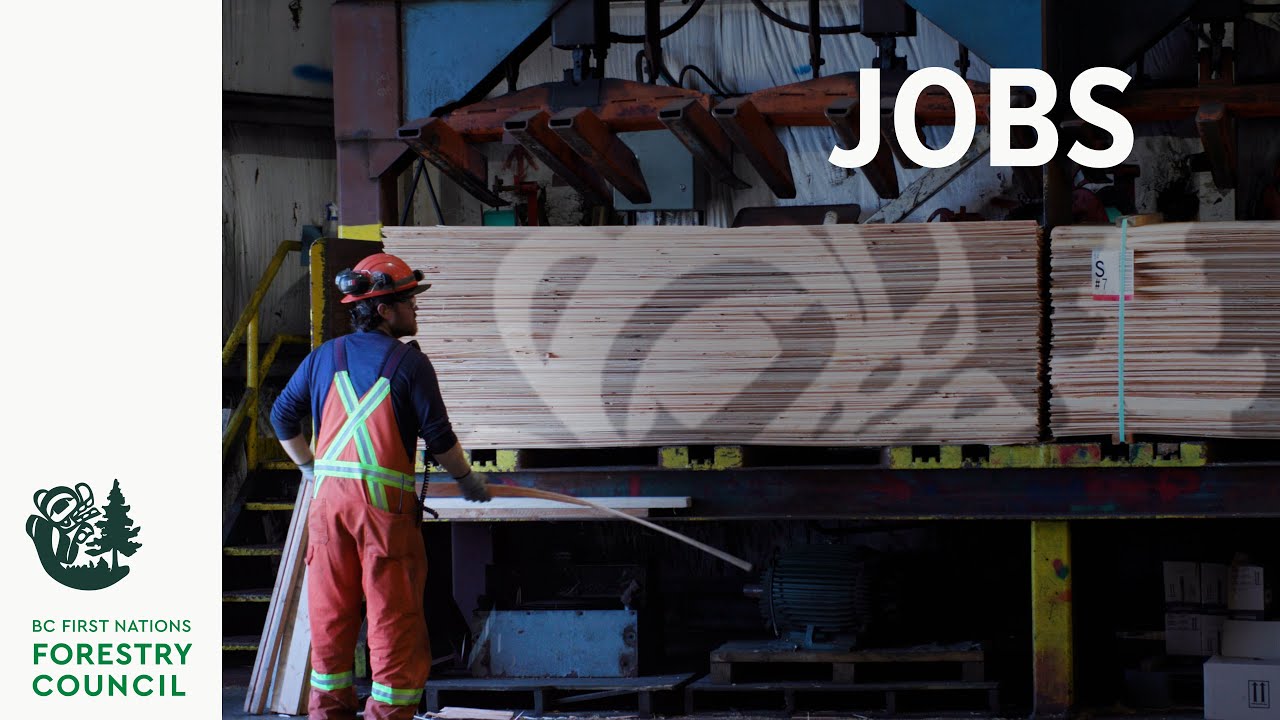 Jobs | First Nations in the BC Forest Sector - YouTube