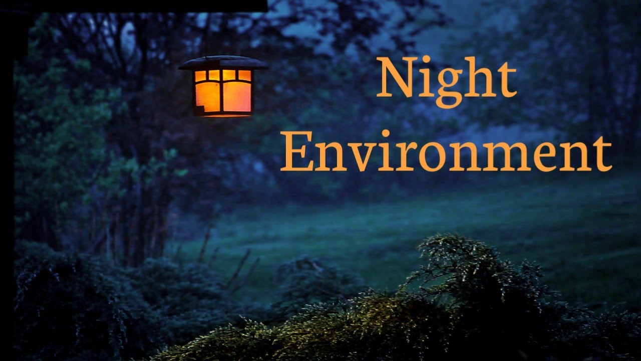 Find Your Zen: Instantly Relax with Soothing Night Nature Sounds ...