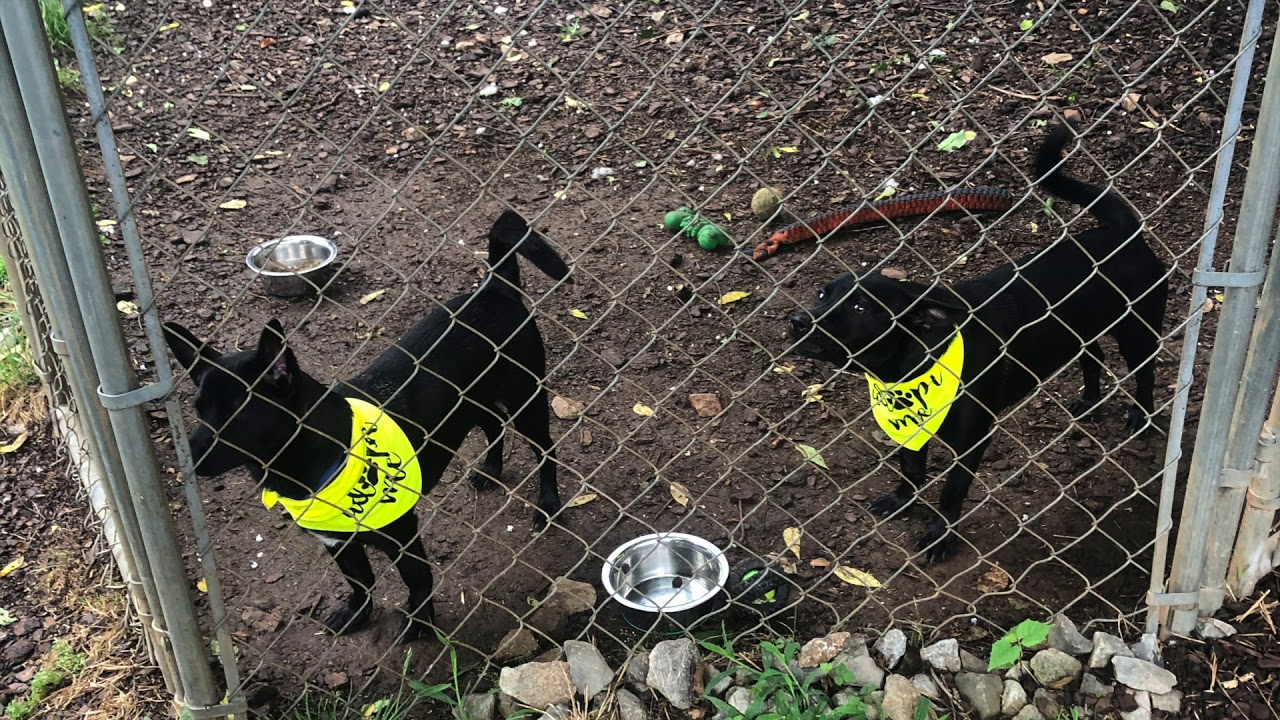 Shelter Project-WEDC Milestones - YouTube