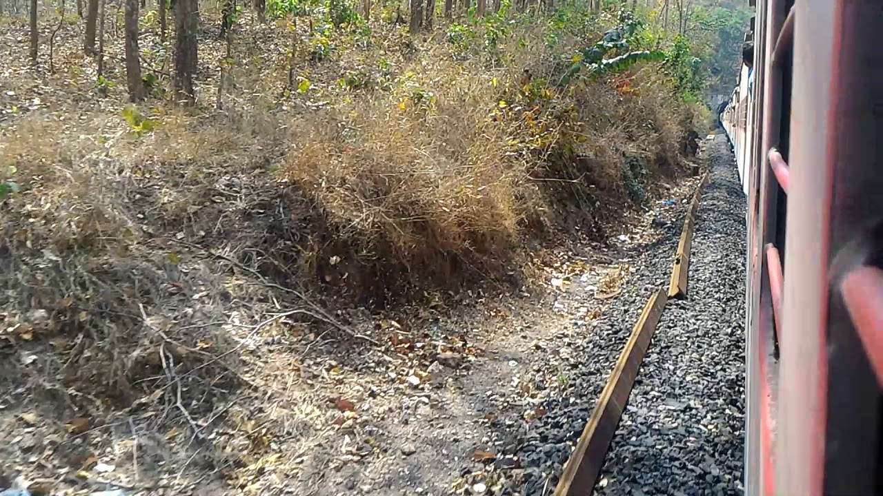 Pendra Road railway tunnel via 12550 Jat-Durg Superfast express - YouTube