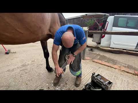 Mustad Live - Steven Beane