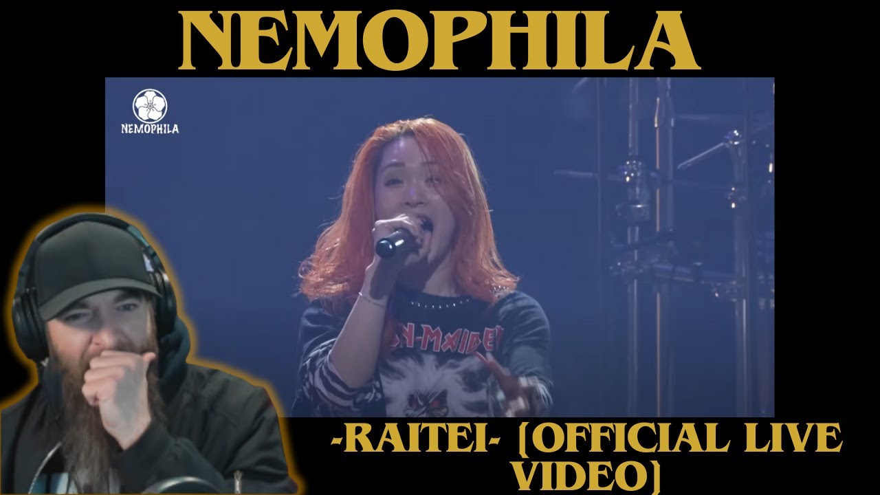 NEMOPHILA / 雷霆 -RAITEI- [Official Live Video] MUSIC VIDEO REACTION ...