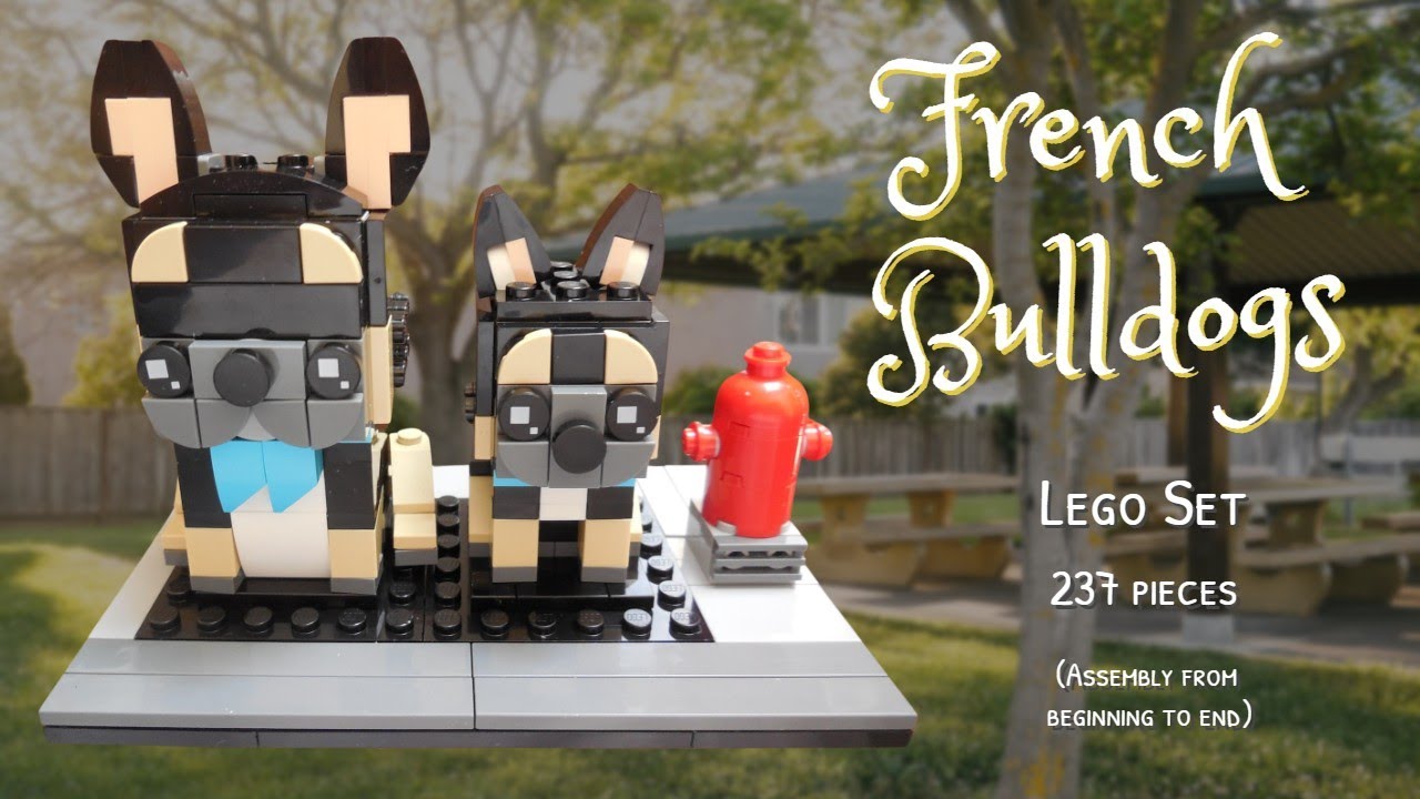 French Bulldogs Lego set - YouTube