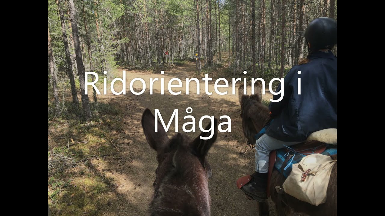 Mounted orienteering - YouTube