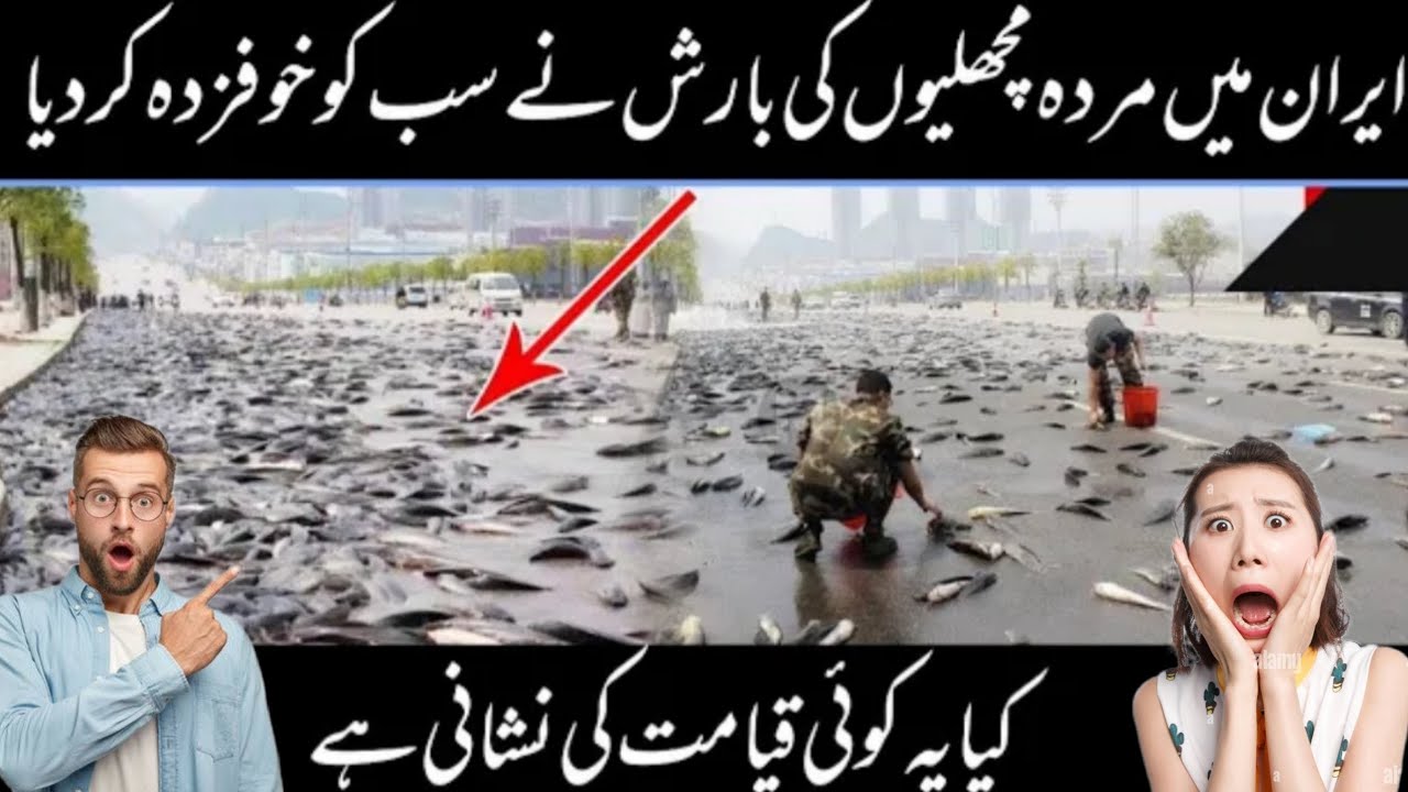fish rain in iran😱 - YouTube
