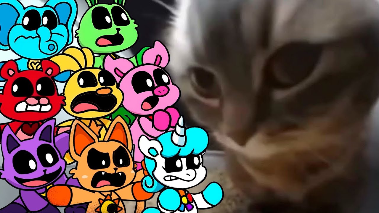 Smiling Critters: Gummy Dora - Chipi Chipi Chapa Chapa (COVER) - YouTube