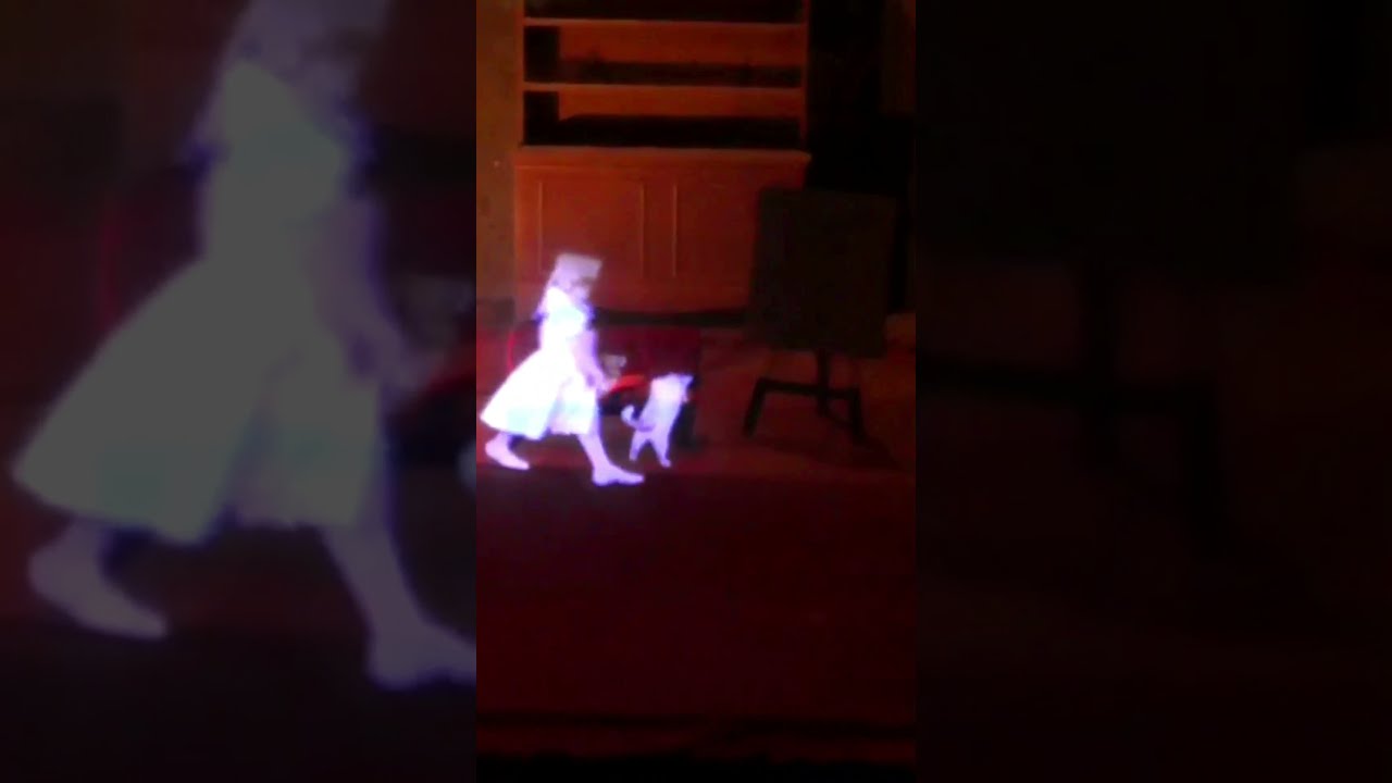 Emily Alton's ghost | Duel the Haunted House | Alton Towers #shorts ...