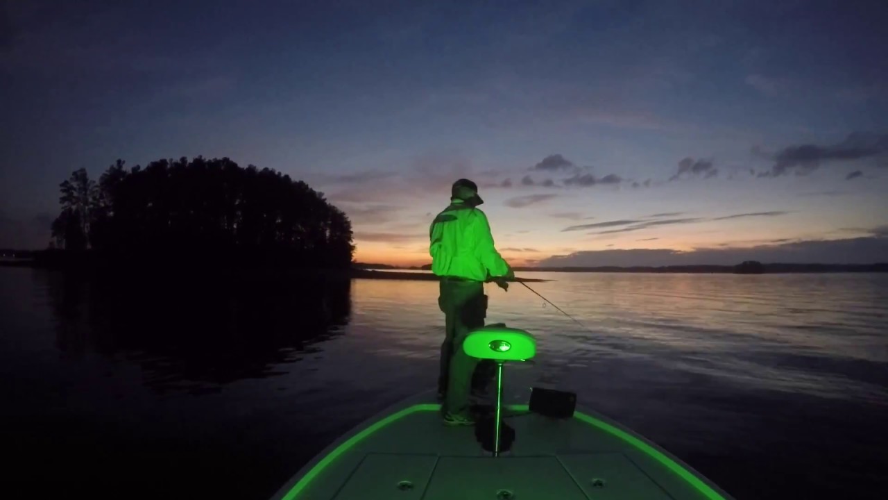 Green Light Fishing - YouTube
