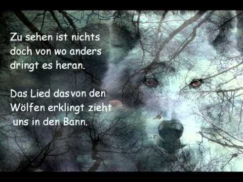 Lied der Wölfe und Freundschaft Little Wolf 25 - YouTube
