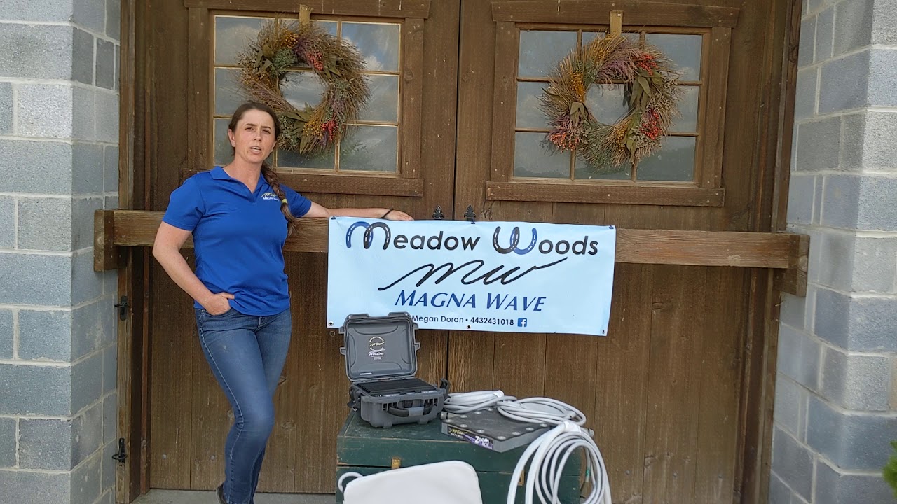 Magna Wave-how can it help? - YouTube