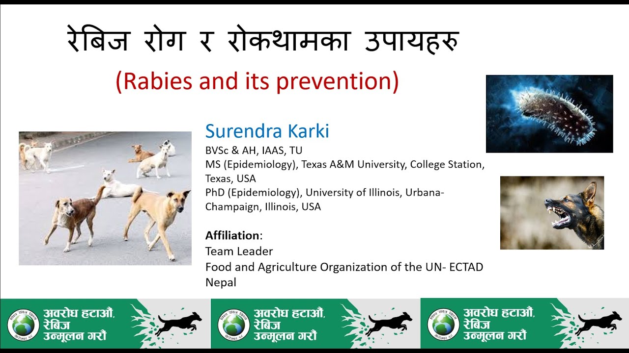 Rabies Awareness Video in Nepali (रेबिज रोग र रोकथामका उपायहरु) - YouTube