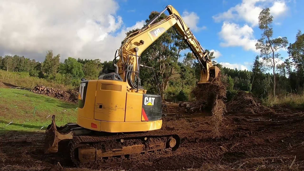 Cat 314e Excavator Moving Huge Stump - YouTube