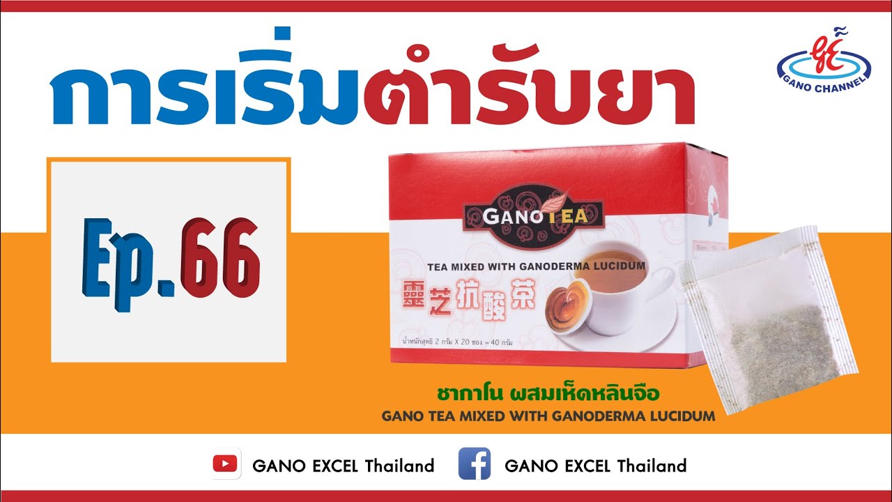 Gano Channel Ep.66 การเริ่มตำรับยา ชากาโน ผสมเห็ดหลินจือ GANO TEA MIXED ...