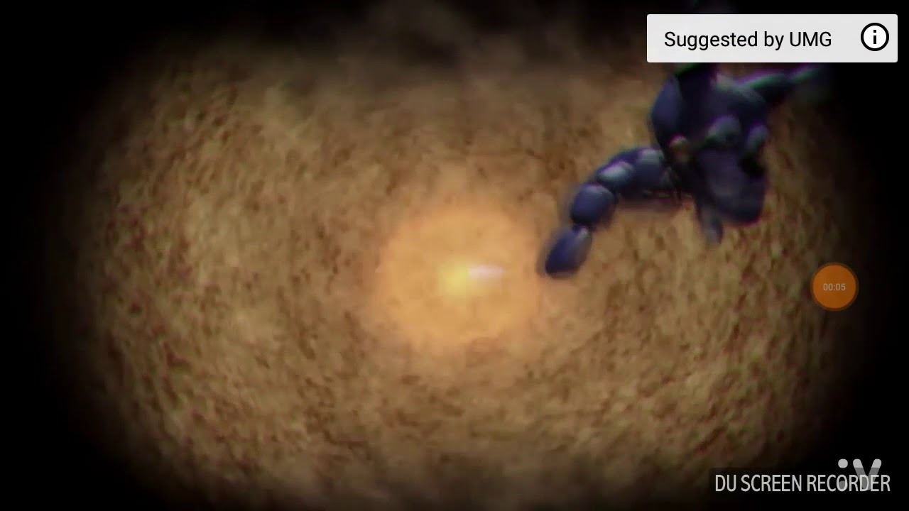 Bon bons is a bird XD - YouTube