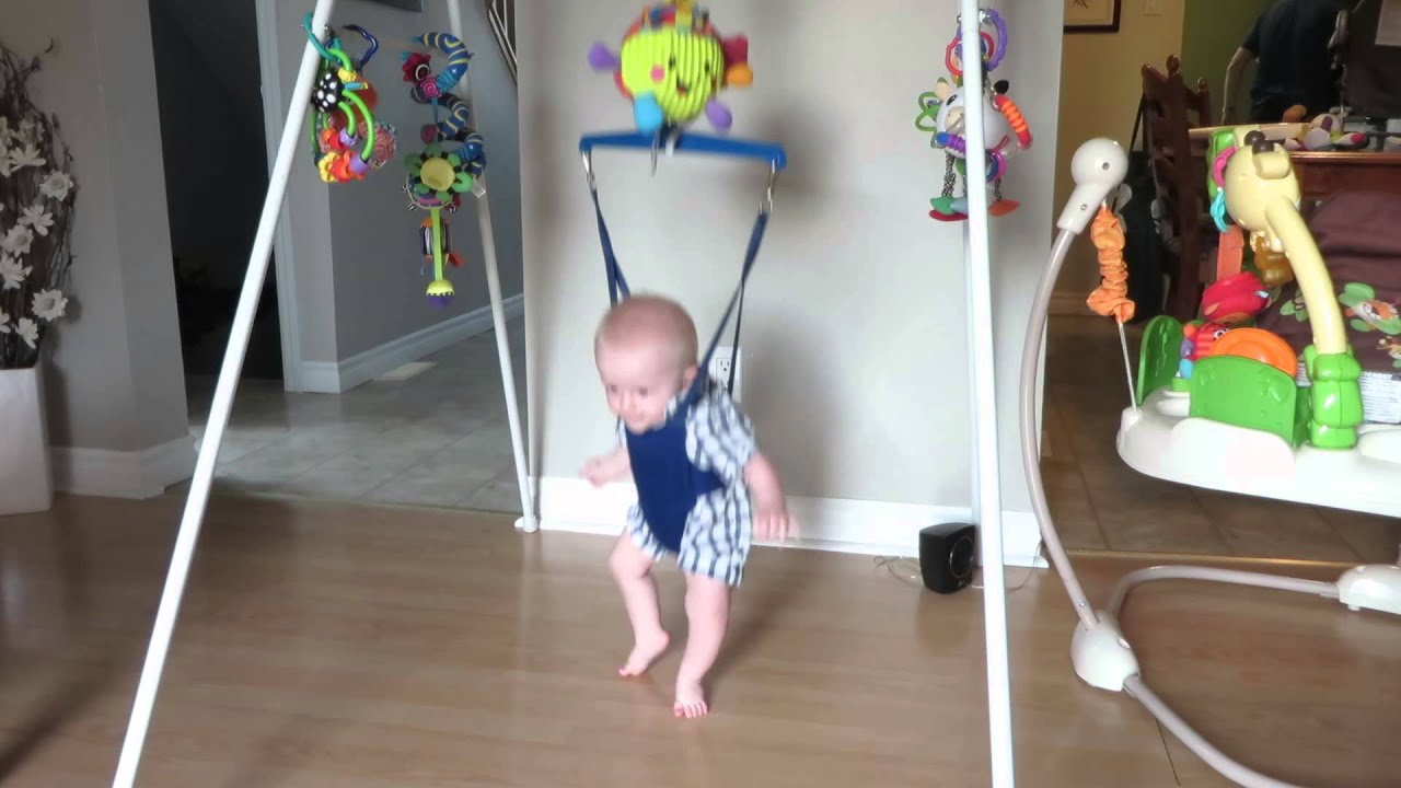 Baxter Jolly Jumping!! - YouTube