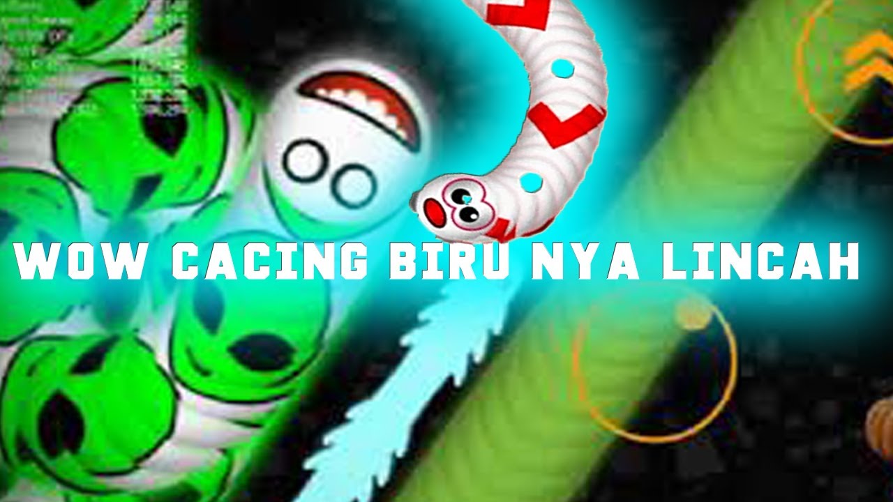 AWALNYA CACING BIRU INI DI SEPELEKAN , LIHAT APA YANG TERJADI - YouTube
