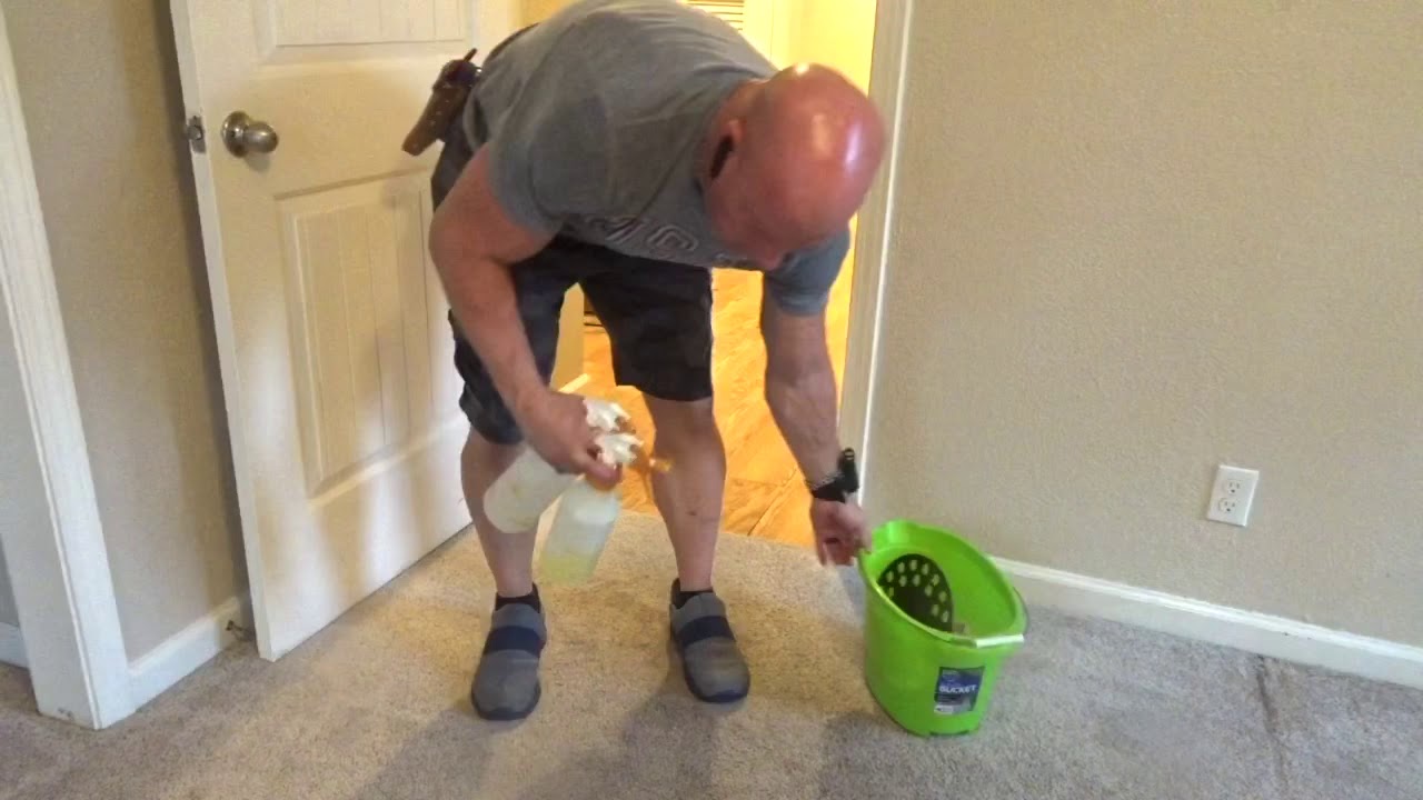 Challenger OP systems training for beginners. #carpettime. - YouTube