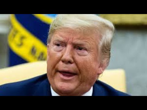 Trump has a big brain moment... - YouTube