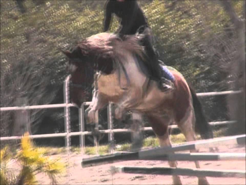 CSO Frigouyé 7 Avril 2013. ♥ - YouTube