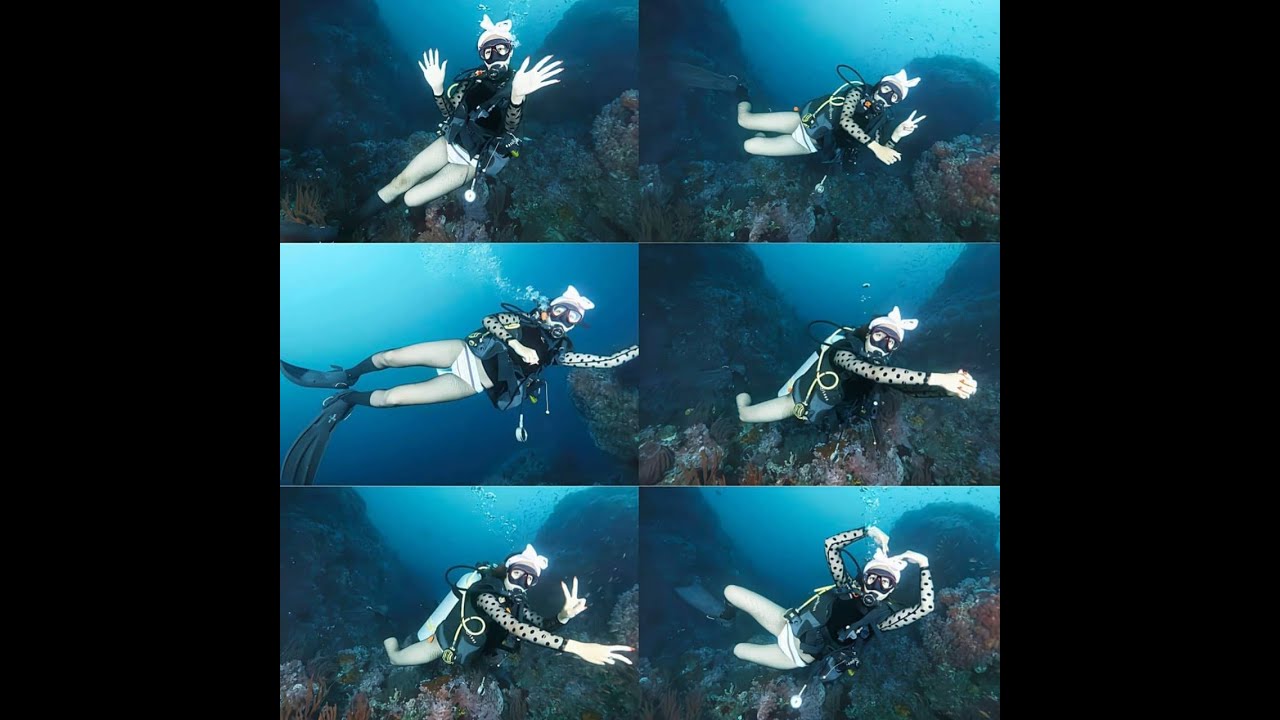 FUN DIVING AT CANYON DIVE POINT | NO WET SUIT CHALLANGE ACCEPTED😂🤣 ...